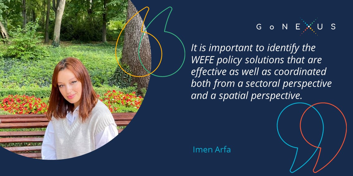 GoNEXUS Spotlight on Imen Arfa: GoNEXUS' young researcher - GoNEXUS